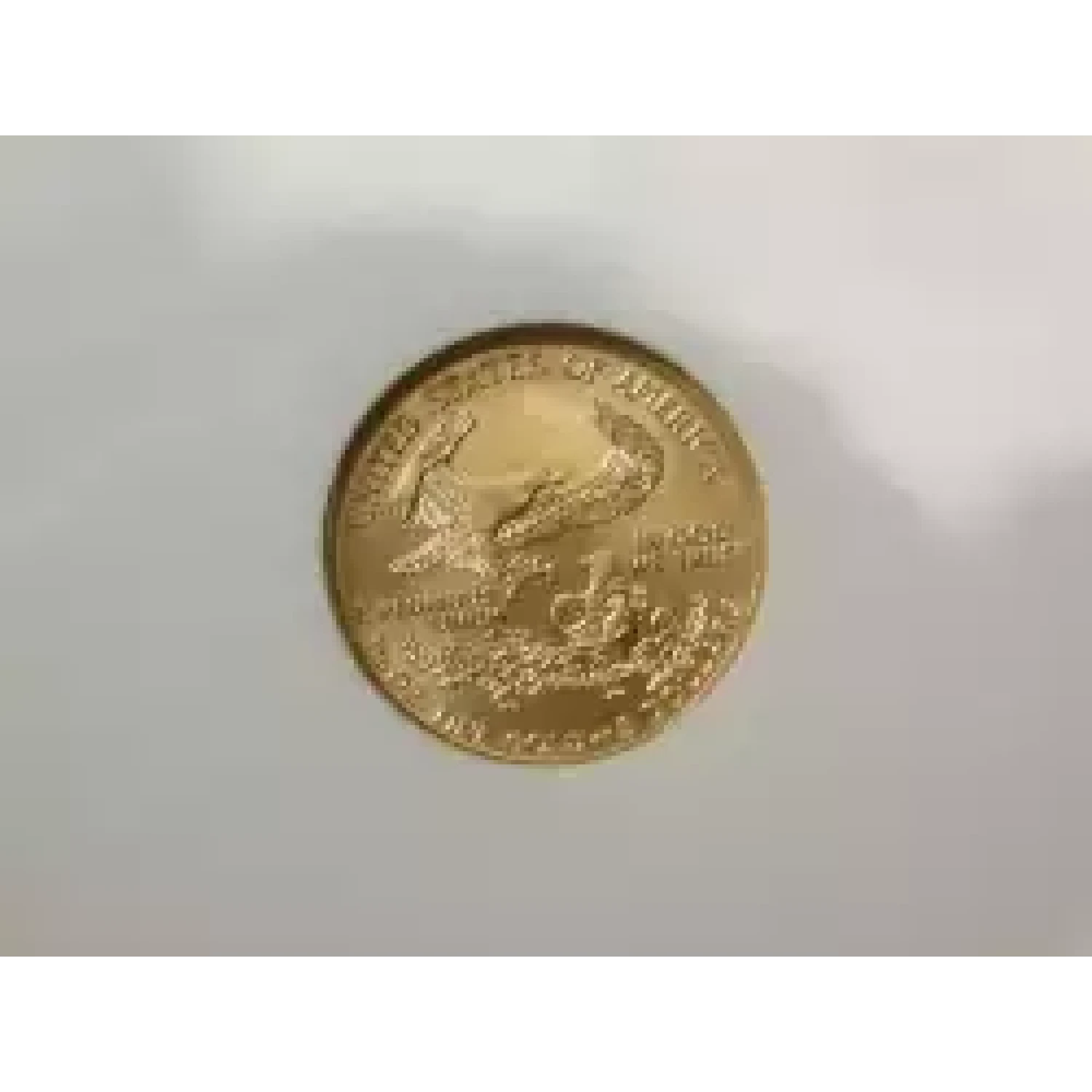 2007 Bullion $5 Gold Eagle 1/10 oz NGC MS-70 EARLY RELEASES - Copper ...