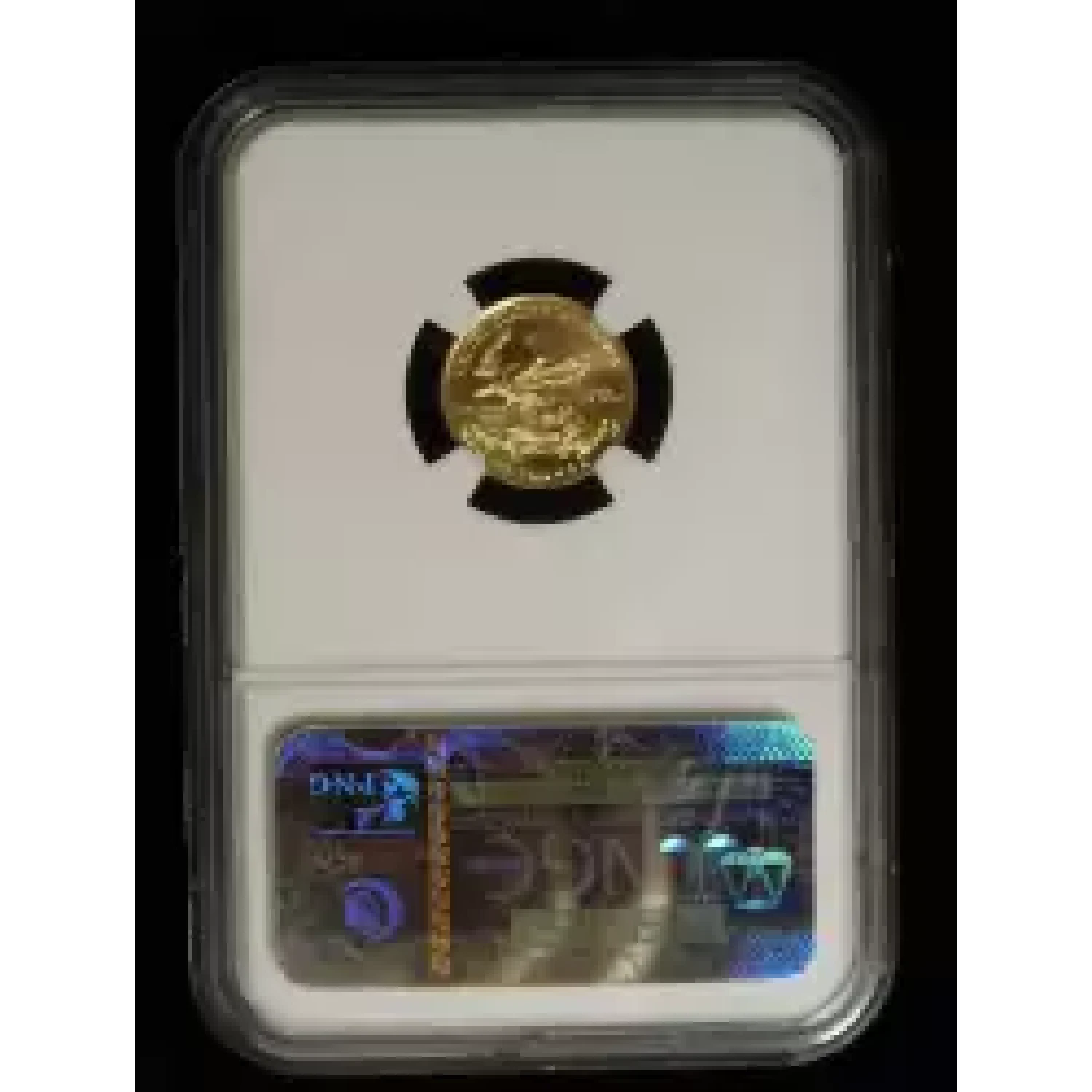 2010 Bullion $5 Gold Eagle 1/10 oz NGC MS-70 EARLY RELEASES - Copper ...